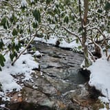 Sand Spring Trail, Pennsylvania - 344 Reviews, Map | AllTrails