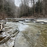 Wintergreen Gorge Trail, Pennsylvania - 586 Reviews, Map | AllTrails