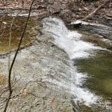 Wintergreen Gorge Trail, Pennsylvania - 586 Reviews, Map | AllTrails