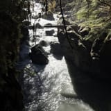 Boulder River Trail, Washington - 1,740 Reviews, Map | AllTrails