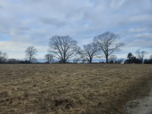 Best Hikes and Trails in John J. Donovan Reservation and Sagamore Hill ...
