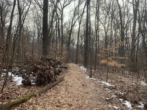 Best Hikes and Trails in Coventry Woods Park | AllTrails