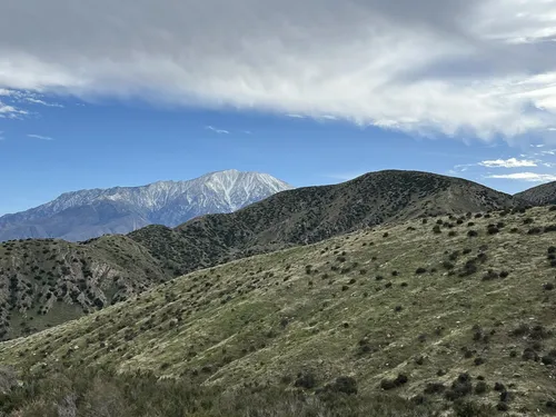 San Gorgonio Wilderness Die 10 besten Routen zum Wandern AllTrails