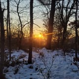 Buck Ridge Trail, Pennsylvania - 144 Reviews, Map | AllTrails