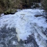 Lake to Lake Trail Loop via Lacamas Creek, Washington - 2,040 Reviews ...