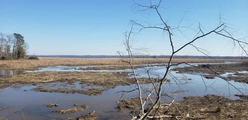 Best Hikes and Trails in Mason Neck Wildlife Refuge | AllTrails