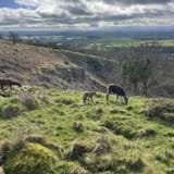 Cheddar Gorge and Batts Coombe Quarry Circular: 2.434 foto - Somerset ...