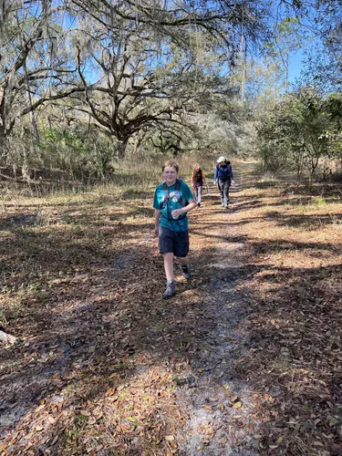 Best Forest Trails in Lower Green Swamp Nature Preserve | AllTrails