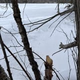 Little Traverse Lake, Michigan - 49 Reviews, Map | AllTrails