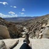 Pictograph Trail, California - 353 Reviews, Map | AllTrails