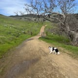 Poly Canyon Loop Trail, California - 515 Reviews, Map | AllTrails