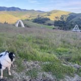 Poly Canyon Loop Trail, California - 515 Reviews, Map | AllTrails