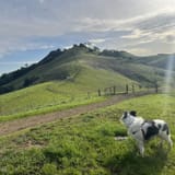 Poly Canyon Loop Trail, California - 515 Reviews, Map | AllTrails