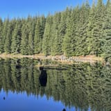 Lily and Lizard Lakes Loop Trail, Washington - 871 Reviews, Map | AllTrails