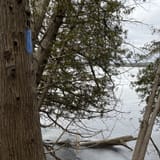 Little Traverse Lake, Michigan - 49 Reviews, Map | AllTrails