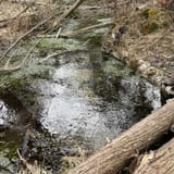 Little Traverse Lake, Michigan - 49 Reviews, Map | AllTrails