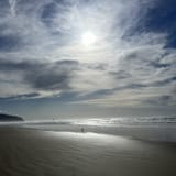 Bayocean Peninsula, Oregon - 710 Reviews, Map | AllTrails
