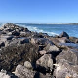 Bayocean Peninsula, Oregon - 710 Reviews, Map | AllTrails