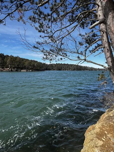 Best Hikes and Trails in Long Reach Preserve | AllTrails