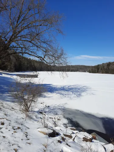 Best Hikes and Trails in Gilbert Lake State Park | AllTrails