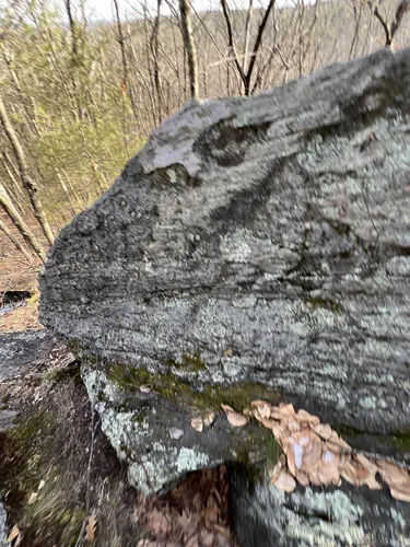 Best Snowshoeing Trails in Leominster | AllTrails