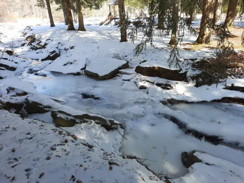 Best Hikes and Trails in Gilbert Lake State Park | AllTrails