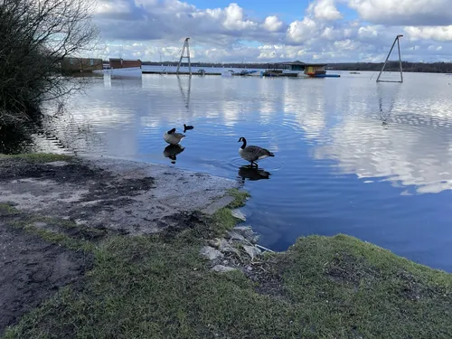 Best Hikes and Trails in Chasewater Country Park | AllTrails
