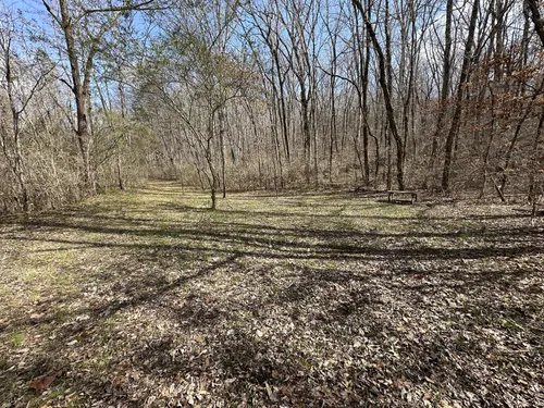 Best Hikes and Trails in Cathedral Caverns State Park | AllTrails