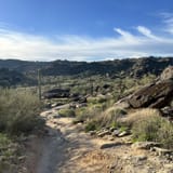 Mormon Loop and National Trail, Arizona - 2,555 Reviews, Map | AllTrails
