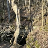 Hickory Ridge Outer Trail, Tennessee - 385 Reviews, Map | AllTrails