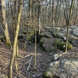 Hickory Ridge Outer Trail, Tennessee - 385 Reviews, Map | AllTrails