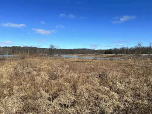 Best Hikes and Trails in Sandy Ridge Reservation | AllTrails