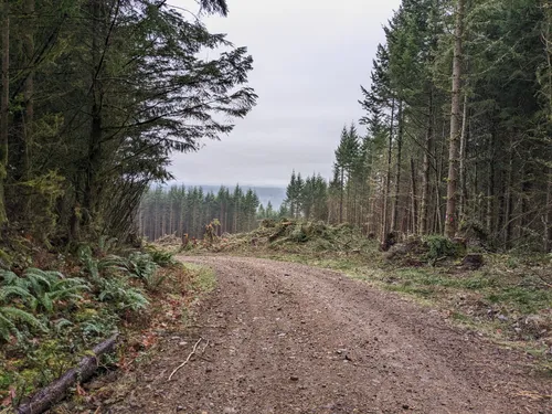 10 Best Trails and Hikes in Monroe | AllTrails
