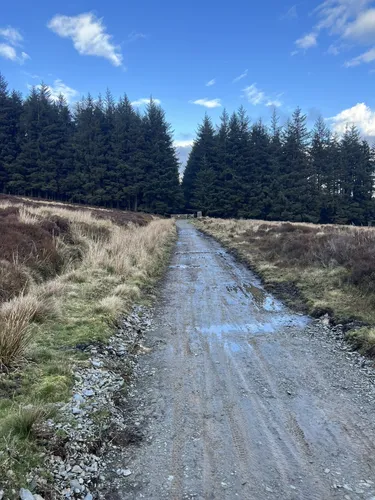 Best Hikes and Trails in Hafod Elwy National Nature Reserve | AllTrails