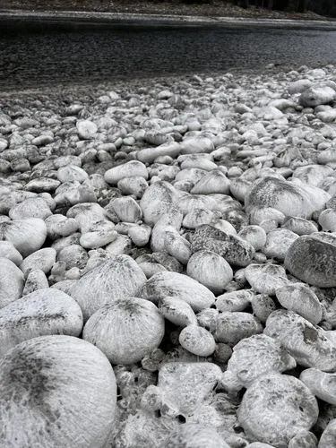 Best Hikes and Trails in Genelle | AllTrails