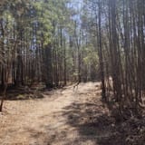 Iron Hill Loop, Georgia - 4,764 Reviews, Map | AllTrails