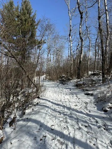 Best Hikes and Trails in Enger Park | AllTrails