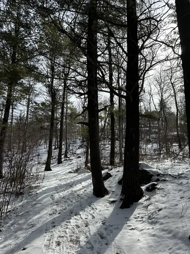 Best Hikes and Trails in Enger Park | AllTrails