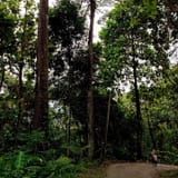 Bukit Dinding Climb Trail, Selangor, Malaysia - 785 Reviews, Map ...