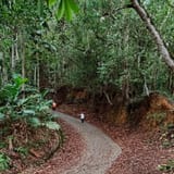 Bukit Dinding Climb Trail, Selangor, Malaysia - 785 Reviews, Map ...