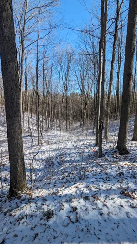 Best Hikes and Trails in Trail Hub | AllTrails