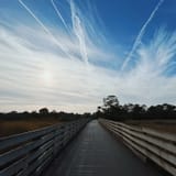 Brevard Zoo Linear Park Trail, Florida - 831 Reviews, Map | AllTrails