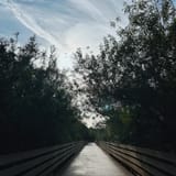 Brevard Zoo Linear Park Trail, Florida - 831 Reviews, Map | AllTrails