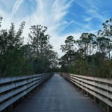 Brevard Zoo Linear Park Trail, Florida - 831 Reviews, Map | AllTrails