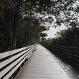 Brevard Zoo Linear Park Trail, Florida - 831 Reviews, Map | AllTrails