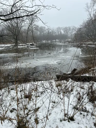 Best Hikes and Trails in Thatcher Woods Glen | AllTrails