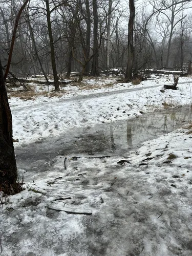 Best Hikes and Trails in Thatcher Woods Glen | AllTrails