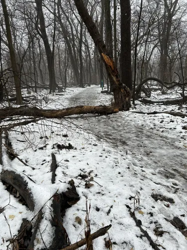 Best Hikes and Trails in Thatcher Woods Glen | AllTrails
