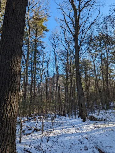 Best Hikes and Trails in Sally Milligan Park | AllTrails