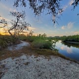North Anclote River Nature Park Trail, Florida - 191 Reviews, Map ...